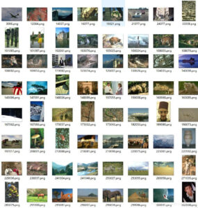 CBSD68 图像降噪数据集 | Datasets | HyperAI超神经