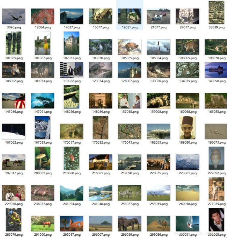 CBSD68 图像降噪数据集 | Datasets | HyperAI超神经