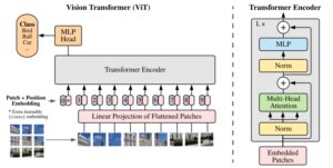 量化 Vision Transformers（Vit）以实现高效部署：策略和最佳实践 | Notebooks | HyperAI超神经