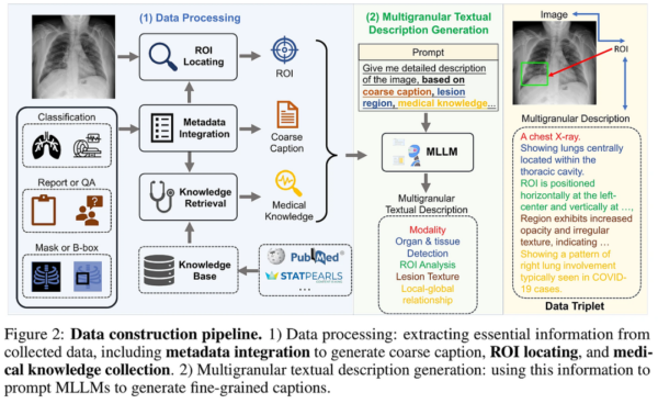MedTrinity-25M 大规模多模态医学数据集 | Datasets | HyperAI超神经