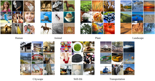 Waterloo Exploration 大规模图像质量评估数据库 | Datasets | HyperAI超神经