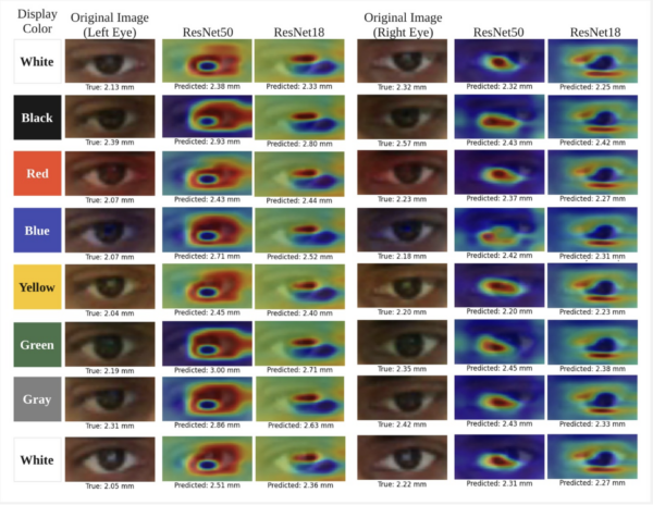 EyeDentify 瞳孔直径估计数据集 | Datasets | HyperAI超神经