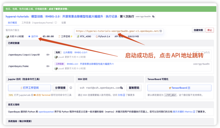 RMBG-2.0：开源背景去除模型 | Notebooks | HyperAI超神经