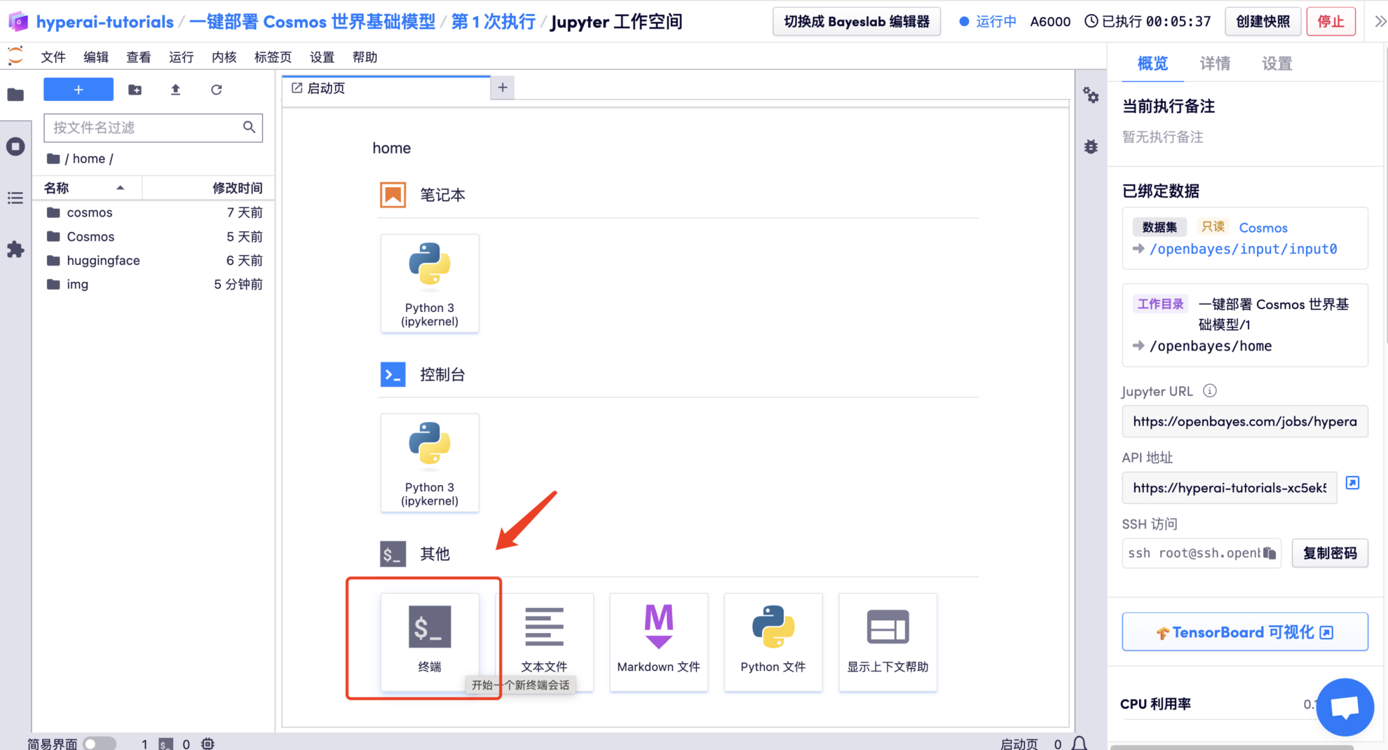一键部署 Cosmos 世界基础模型 | Notebooks | HyperAI超神经