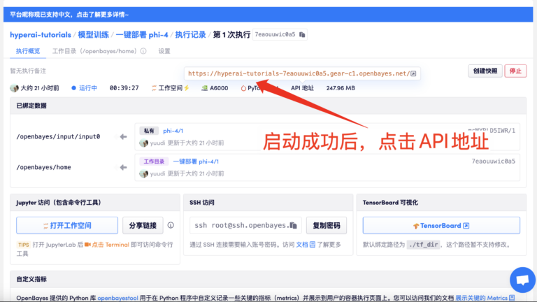 一键部署 Phi-4 | Notebooks | HyperAI超神经