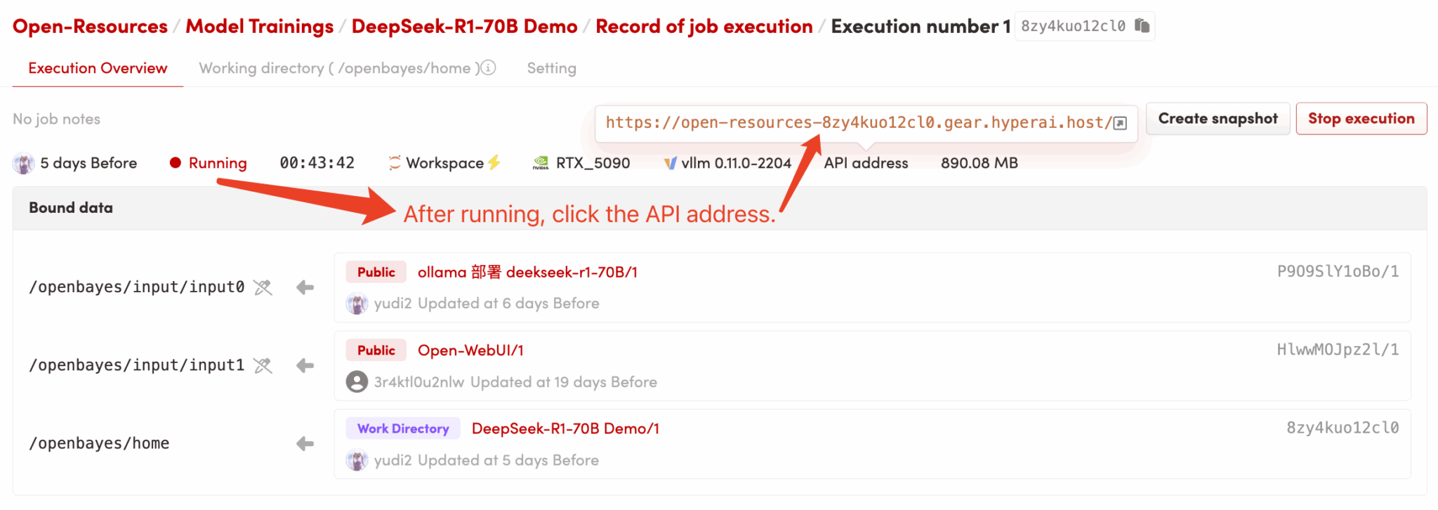 一键部署 DeepSeek-R1-70B | Notebooks | HyperAI超神经