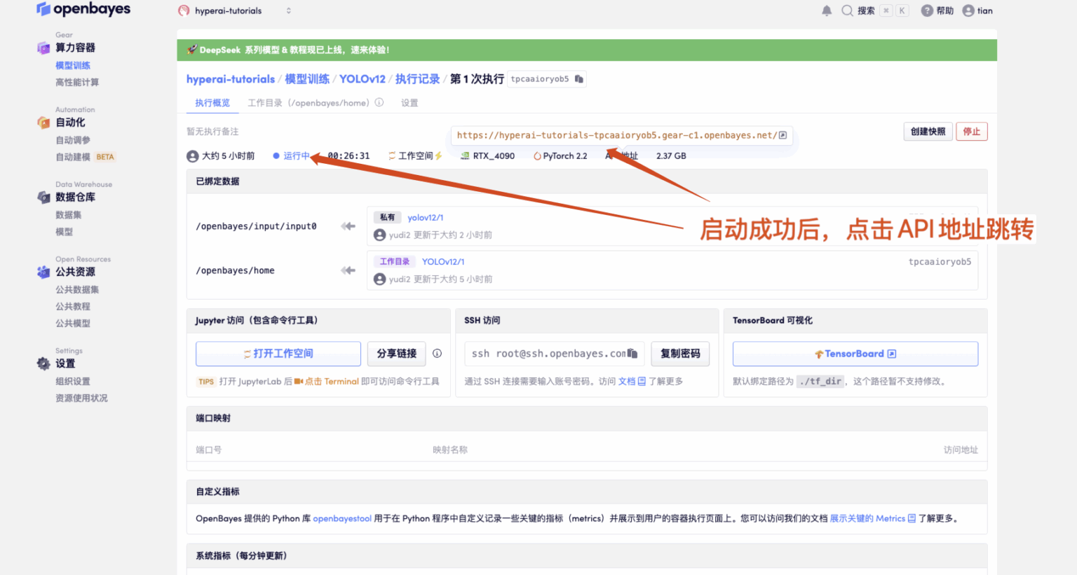 一键部署 YOLOv12 | Notebooks | HyperAI超神经