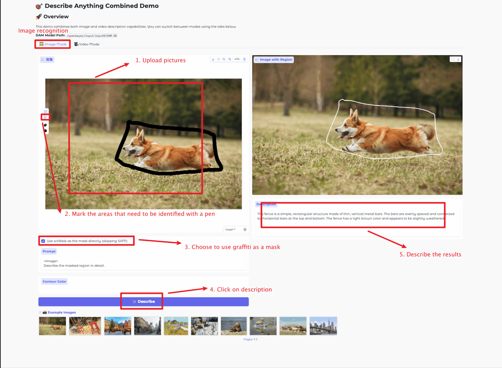 Describe Anything「描述一切」模型 Demo | 笔记本 | HyperAI超神经