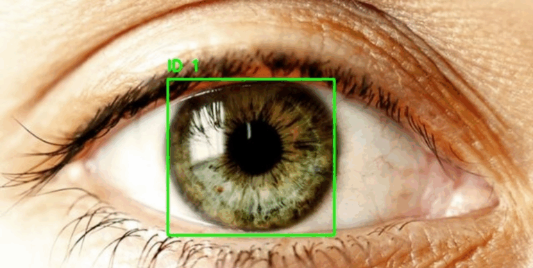 Eye Detection 眼睛检测数据集 | Datasets | HyperAI超神经
