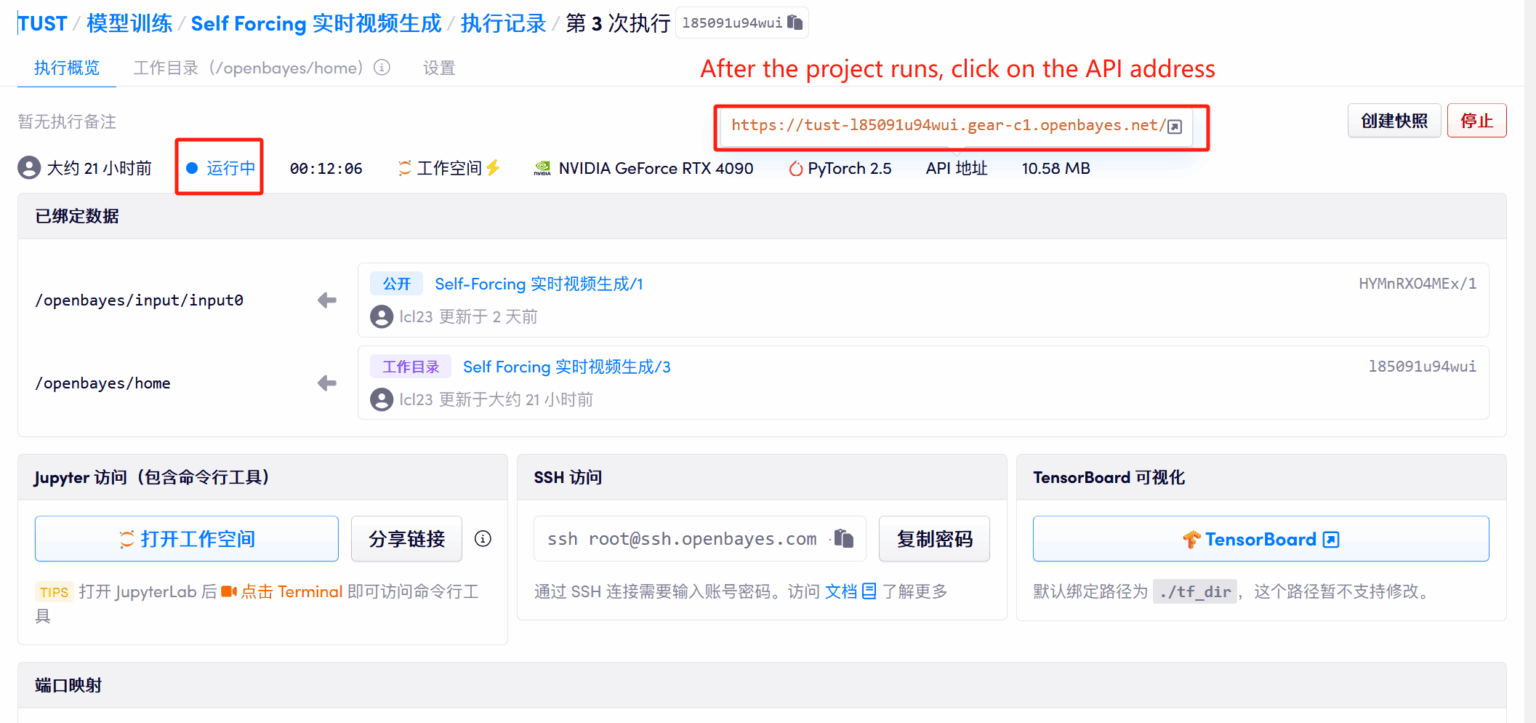 Self Forcing 实时视频生成 | Notebooks | HyperAI超神经